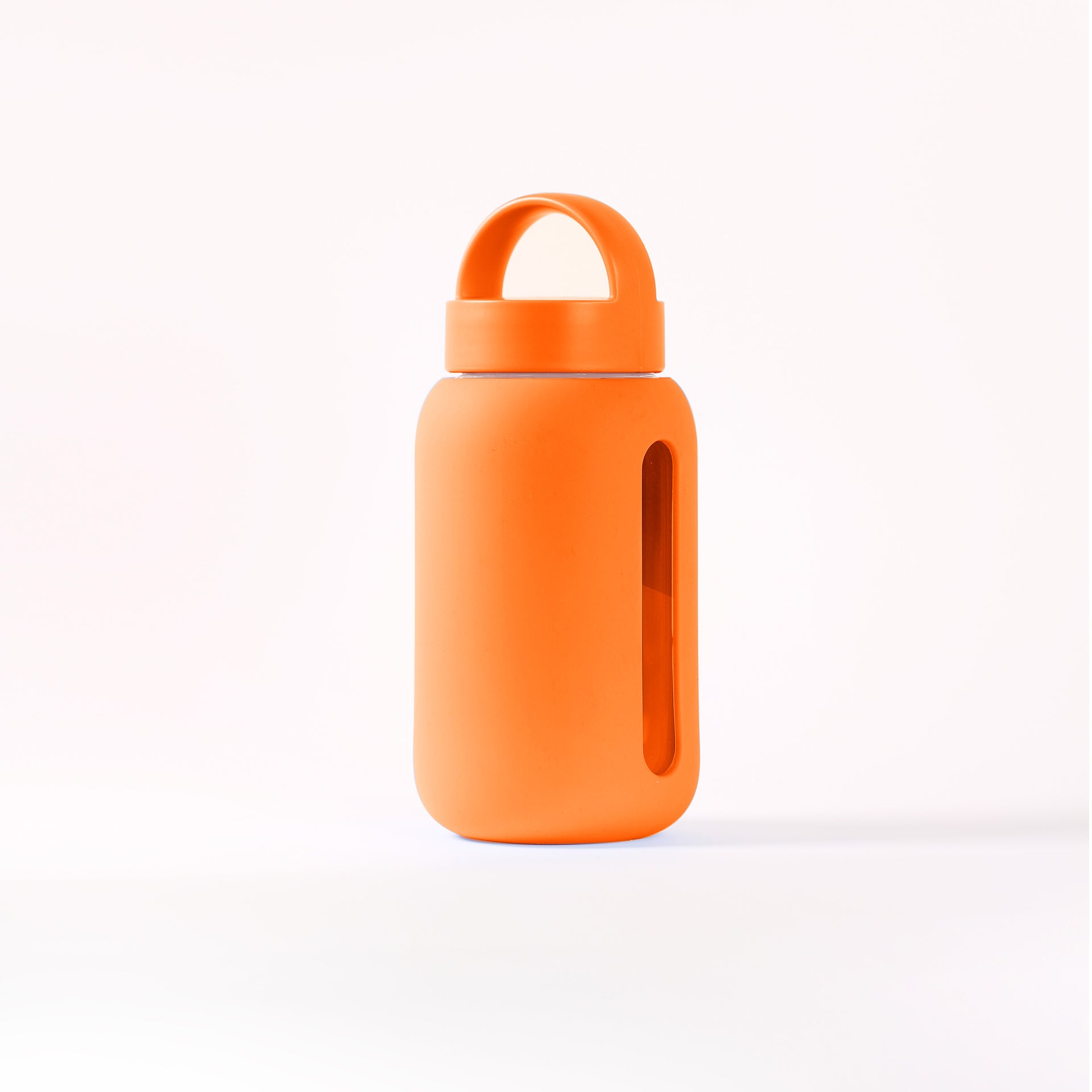 Mini Bottle | 17oz